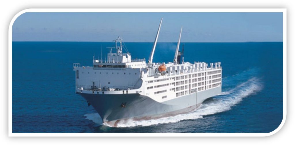 State-of-the-Art purpose-built livestock vessels ensure healthy and low ...